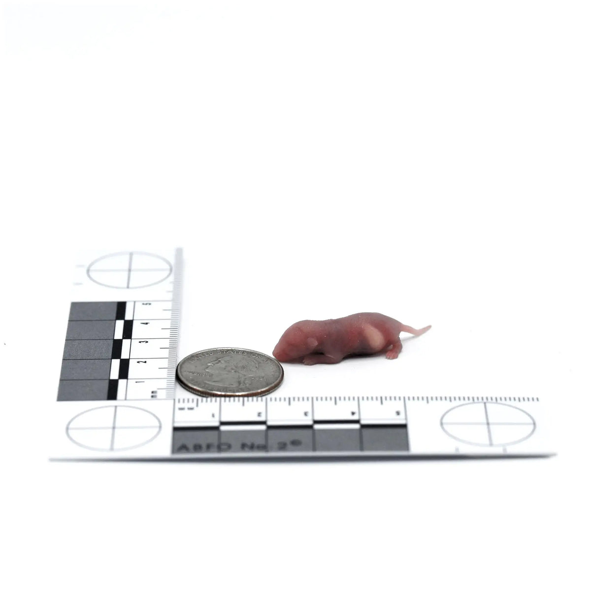 Red Mice – Bag of 25 – Reptile's Choice